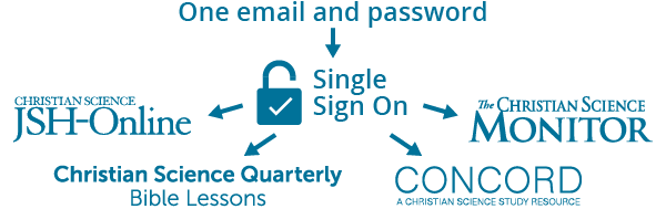 Single Sign On visualization